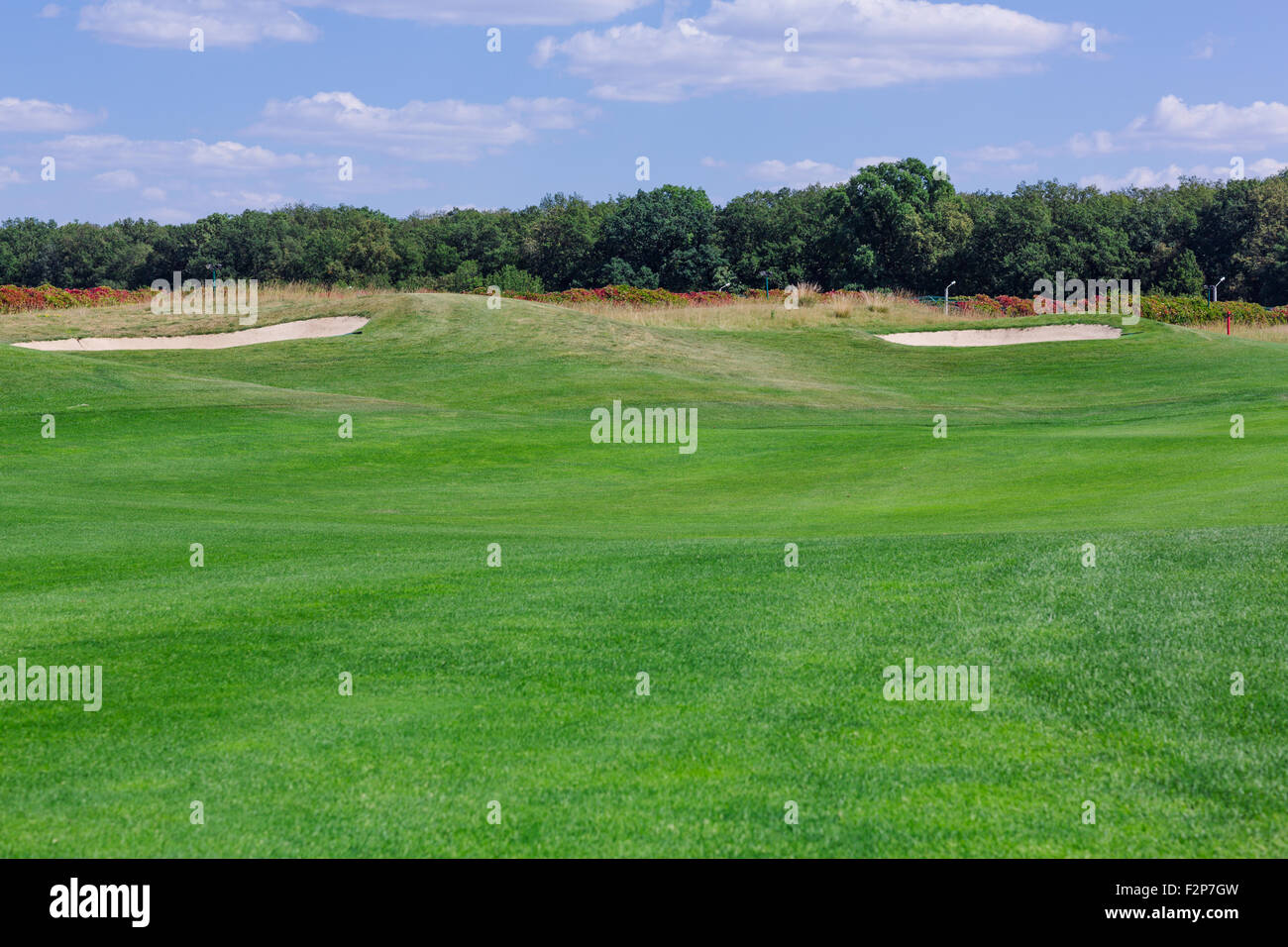 Perfect wavy ground with nice green grass on a golf field Stock Photo ...