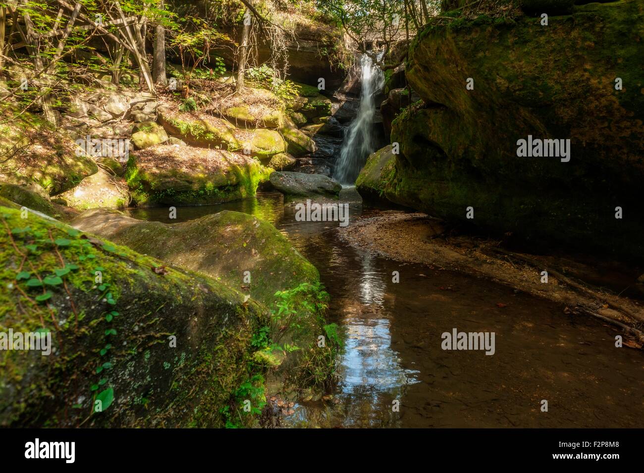 Fall in the Dismals Canyon Stock Photo - Alamy