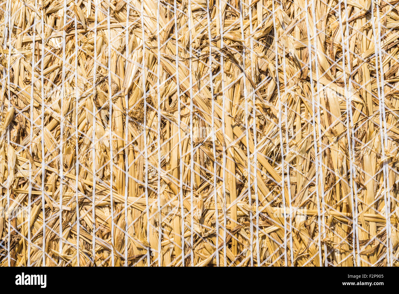 Closeup of hay wrapped by a mesh Stock Photo - Alamy