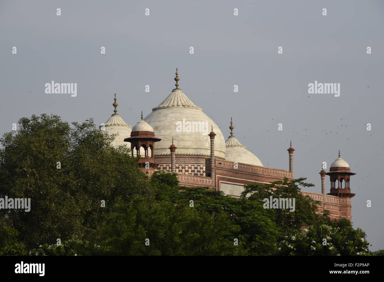 Safdarjung tomb view white marble tomb and red marble structure behind ...