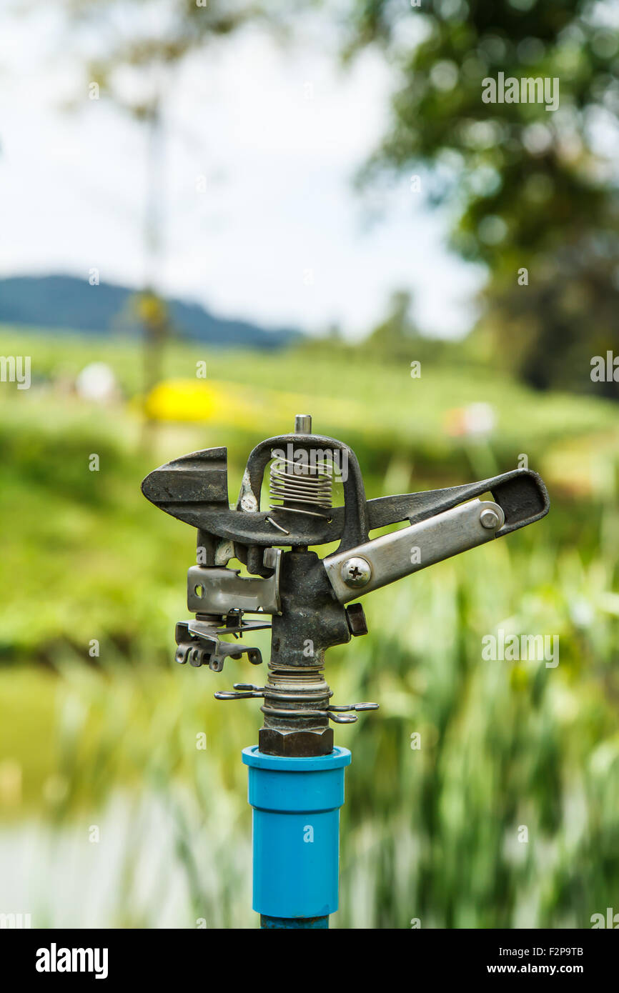 Garden water sprinkler hi-res stock photography and images - Alamy