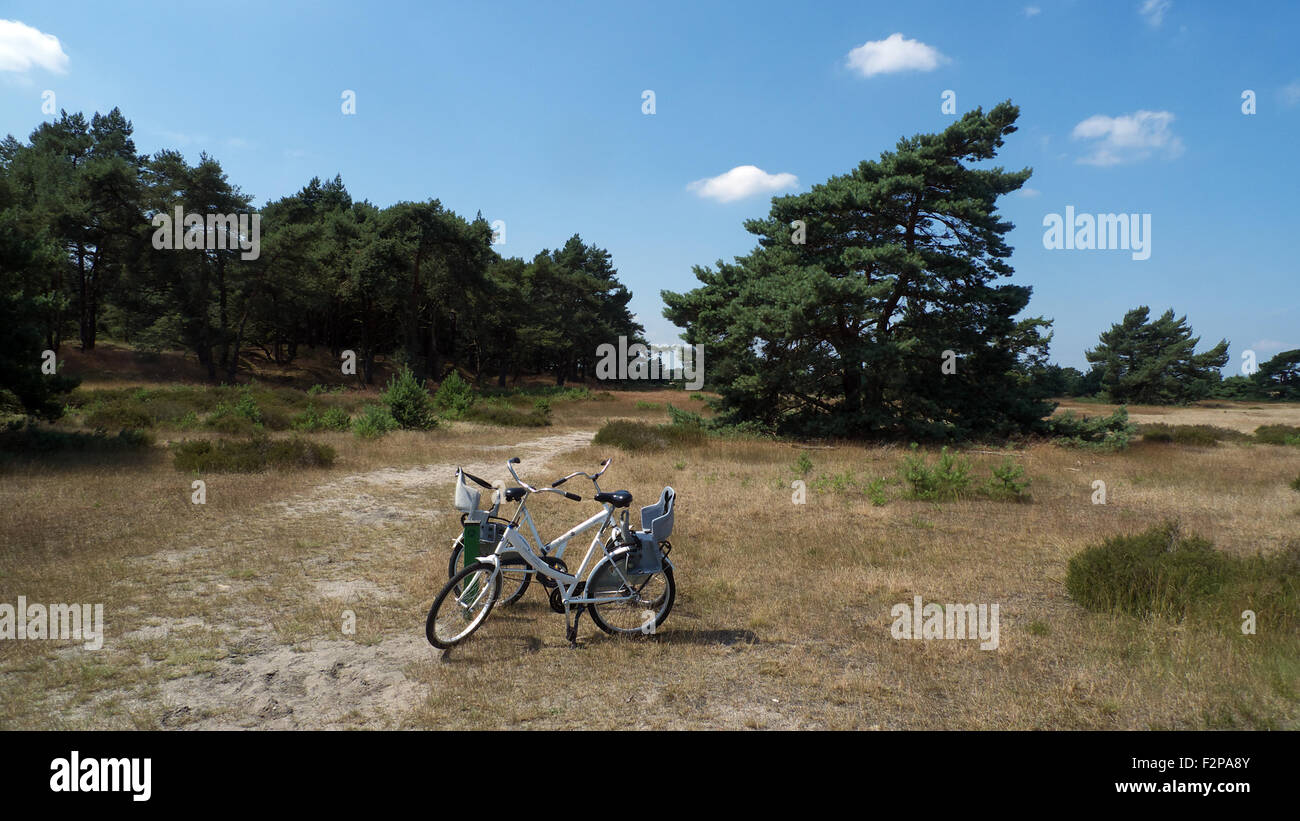 White bikes, De Pollen area of drifting sand, National Park de Hoge ...