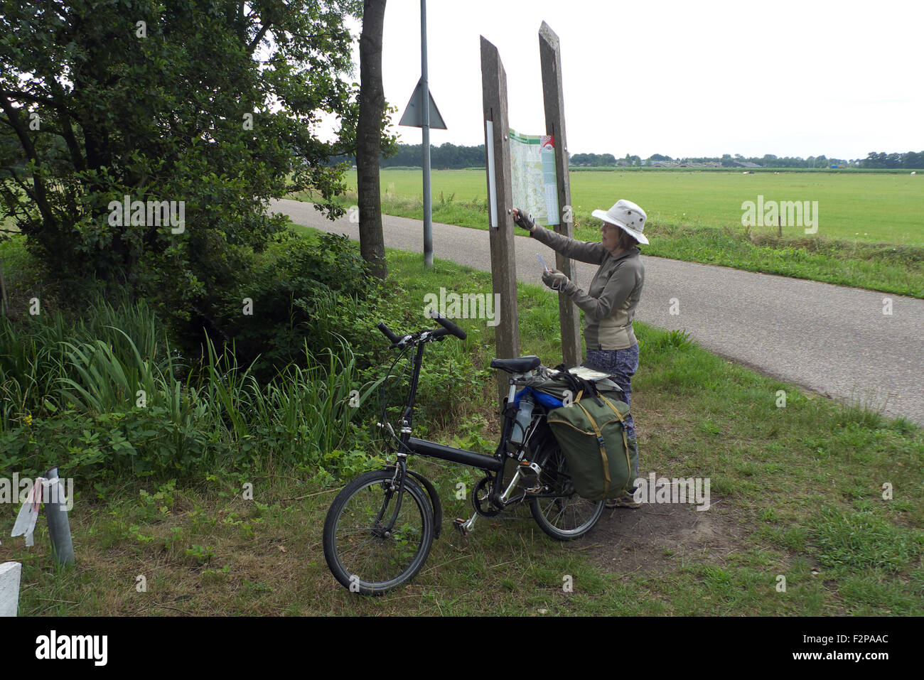 Cyclist studying cycle network map at a cycle route junction ...