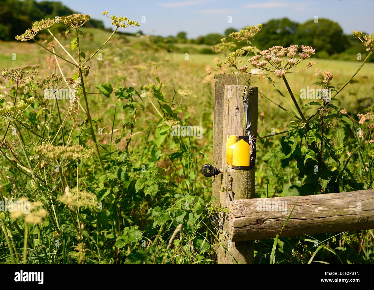 Waymarker Waymark High Resolution Stock Photography and Images - Alamy