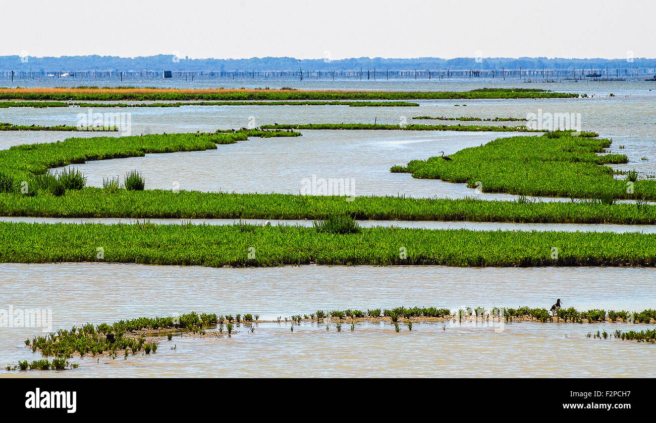 Po river delta hi-res stock photography and images - Alamy