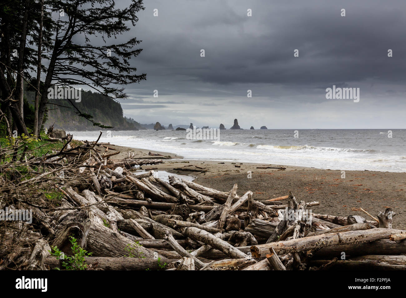 Logs on beach hi-res stock photography and images - Alamy