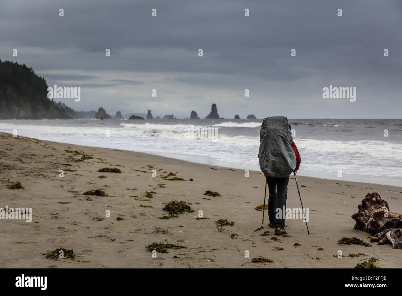 Hiker with backpack walks along a deserted beach in Pacific Northwest ...