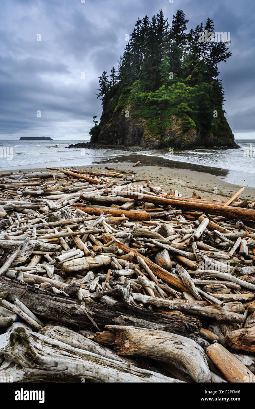 Bleached logs hi-res stock photography and images - Alamy