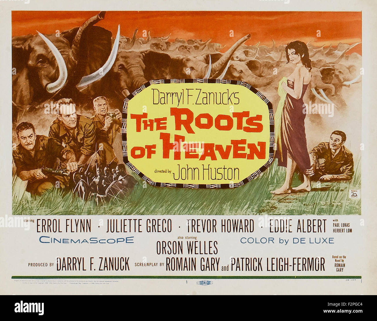 The roots of heaven hi-res stock photography and images - Alamy
