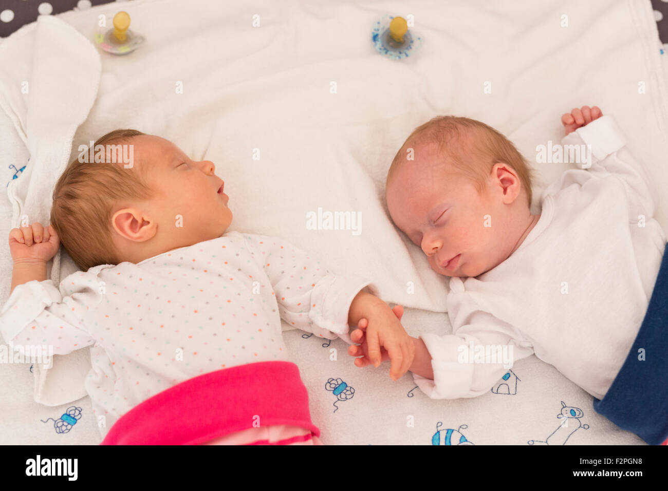 Newborn twins sleeping hand in hand Stock Photo - Alamy