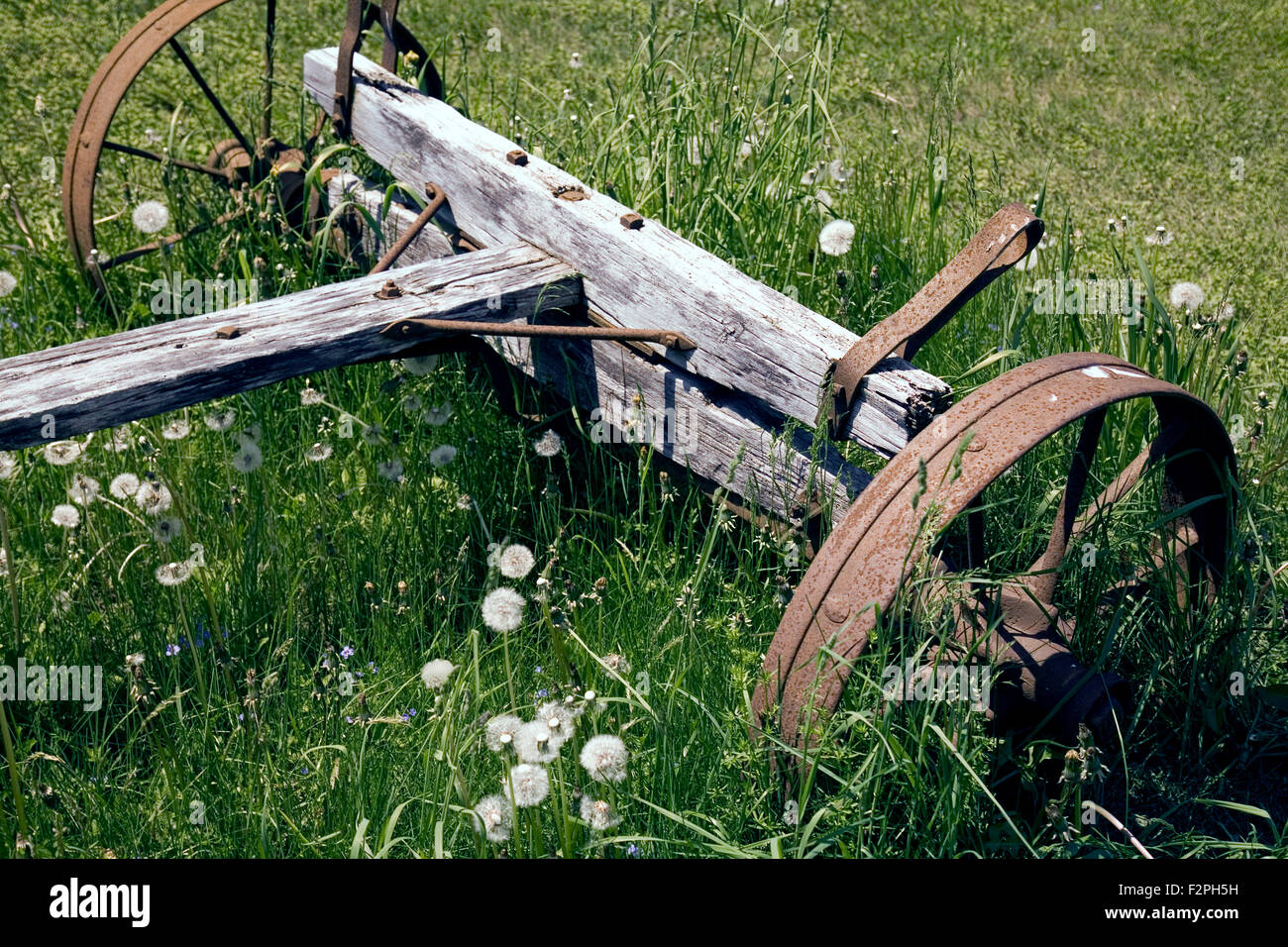 This 19th century buckboard graces the Triano farm in Stannard, Vermont ...
