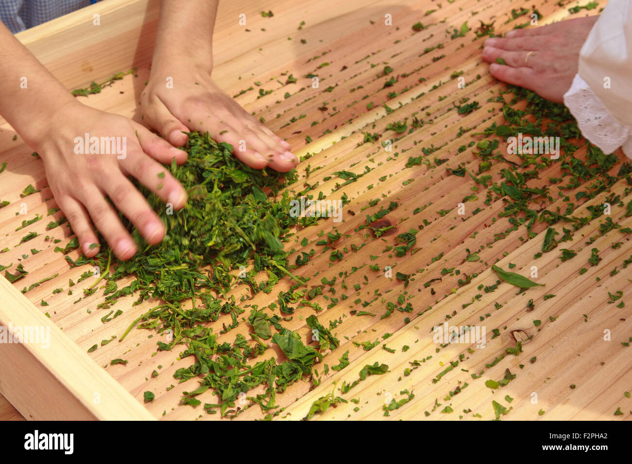 Grinding leaves hi-res stock photography and images - Alamy