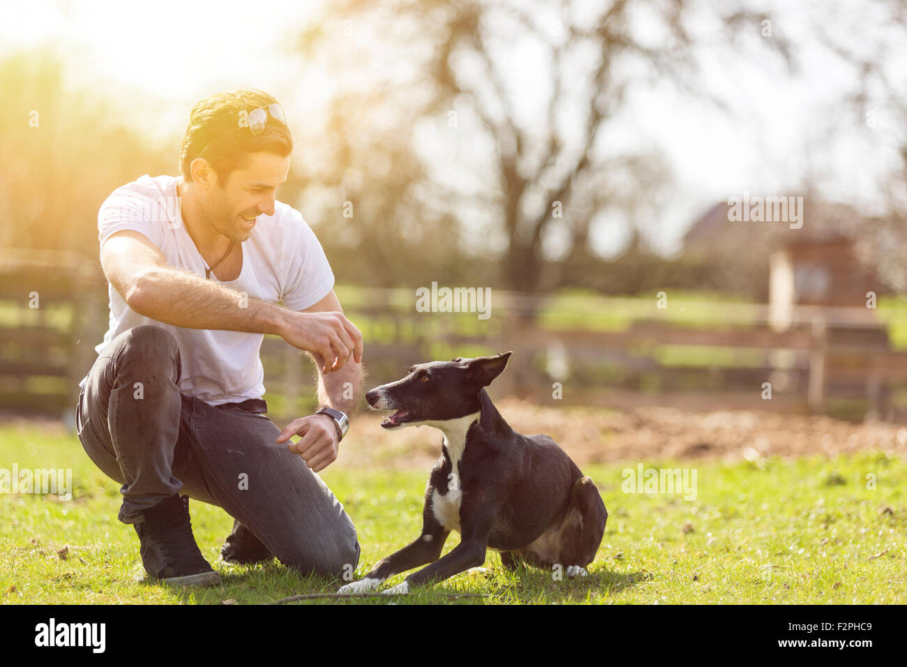 Man training his dog on a meadow Stock Photo - Alamy
