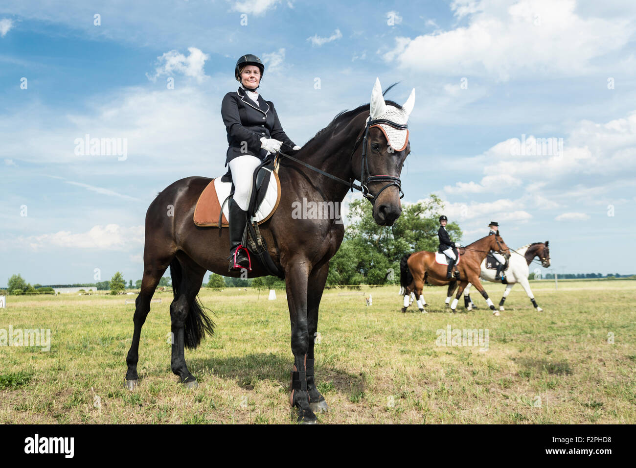 Woman rider exercising horse hi-res stock photography and images - Alamy