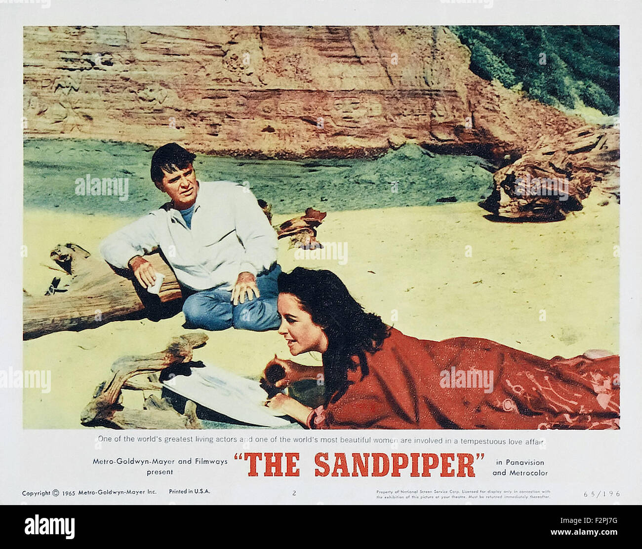 Sandpiper, The - Movie Poster Stock Photo - Alamy
