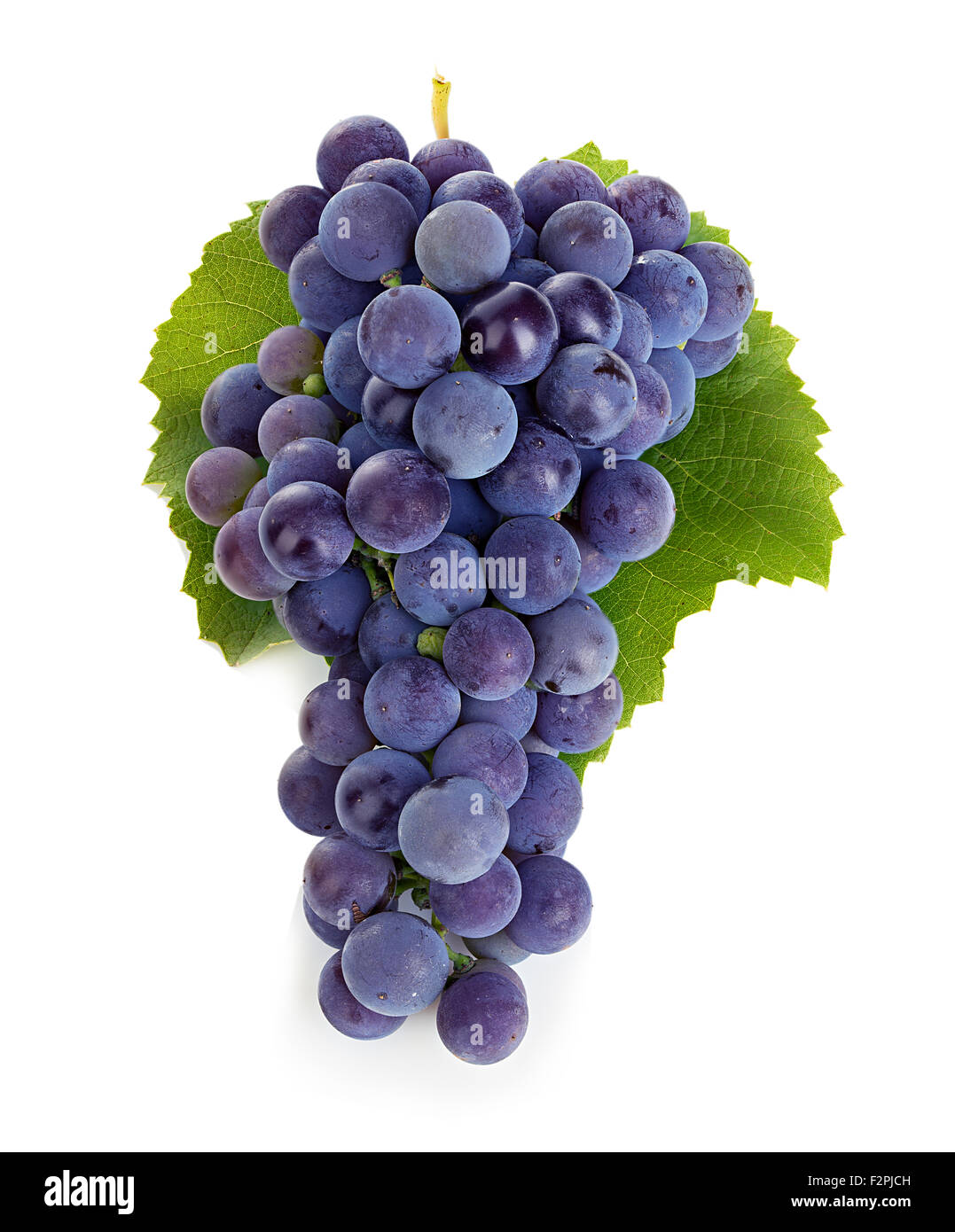 Grapes isolated on white background Stock Photo - Alamy