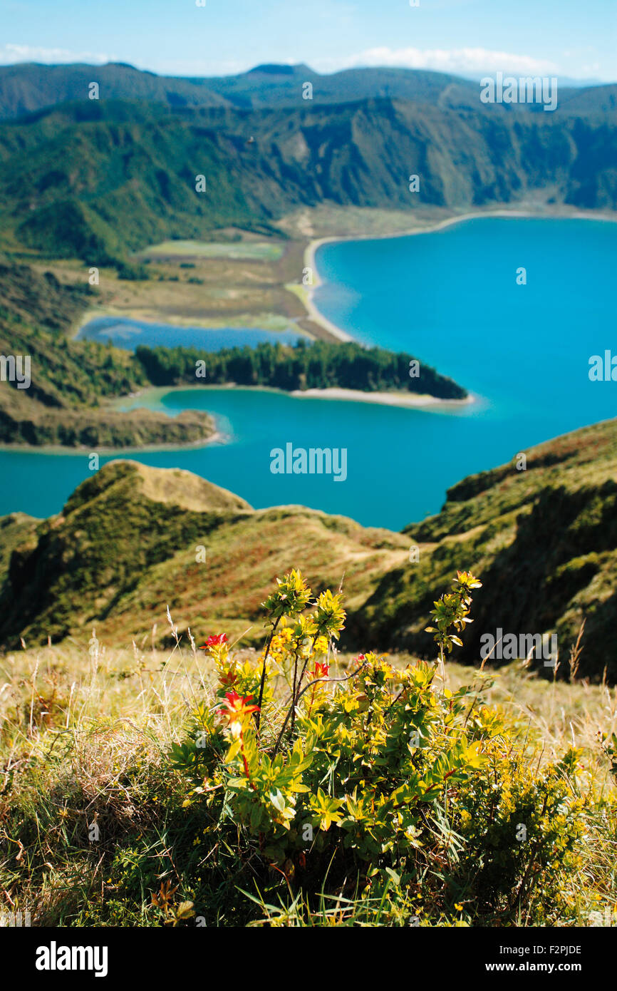 Fire Lake ( local portuguese name is "Lagoa do Fogo"). Sao Miguel ...