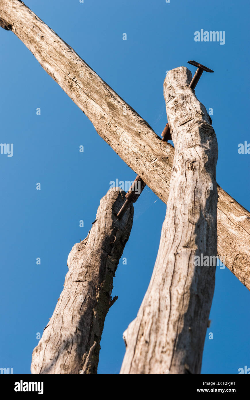 Wooden part of shadoof (water well, well pole, well sweep, sweep ...