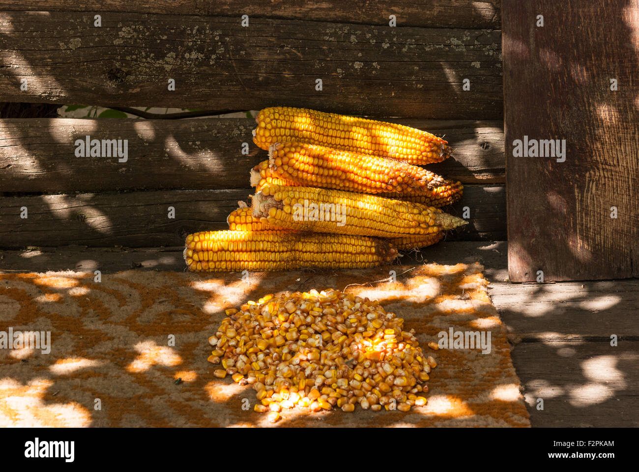 Seeds and fertilizers on the wall hi-res stock photography and images ...