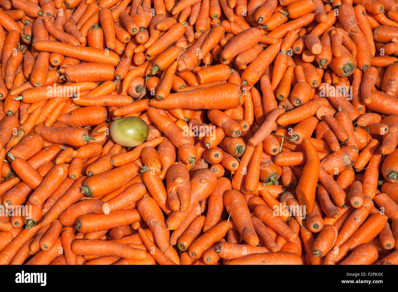 Knobbly vegetables hi-res stock photography and images - Alamy