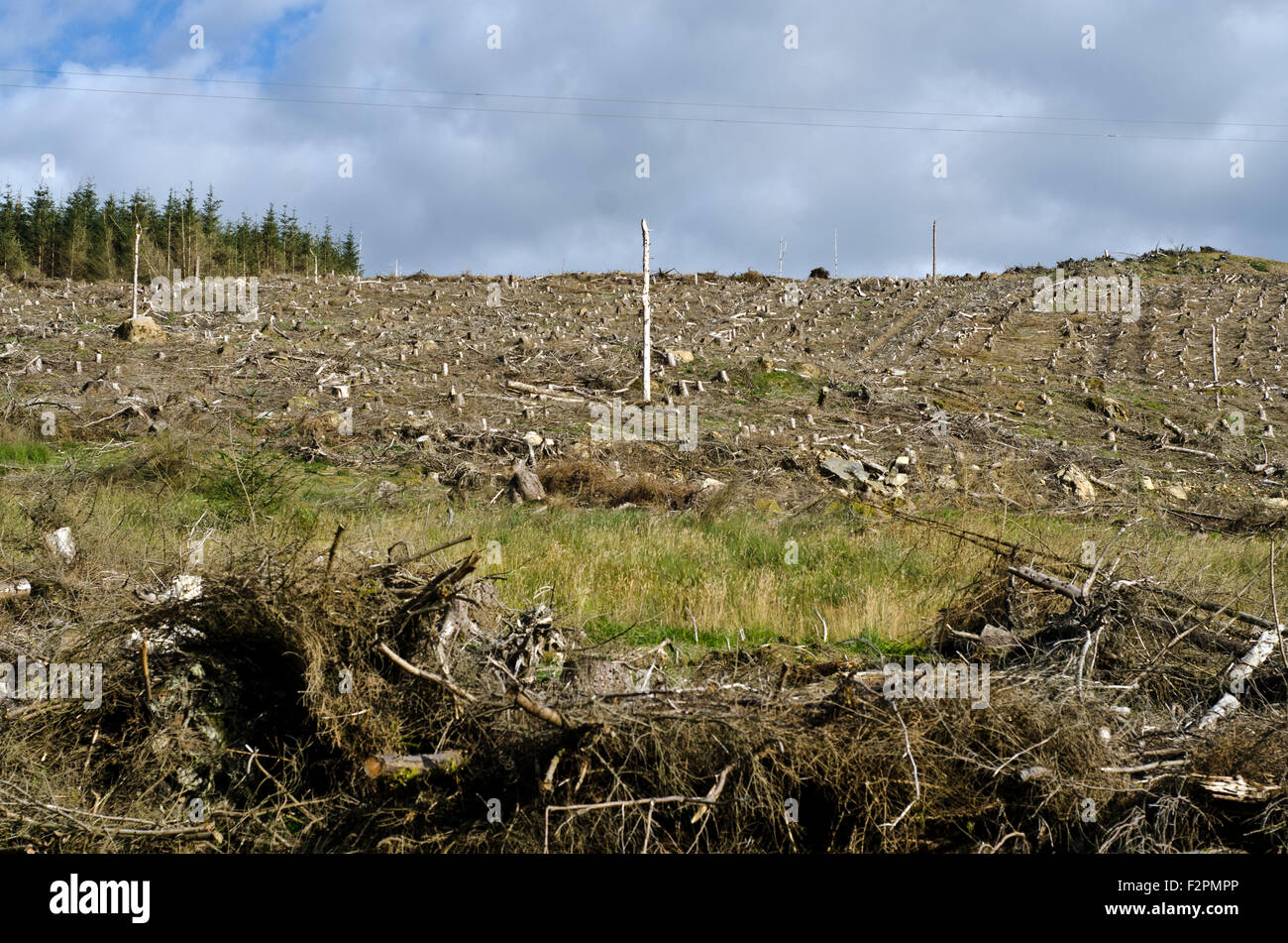 Clear cut hi-res stock photography and images - Alamy