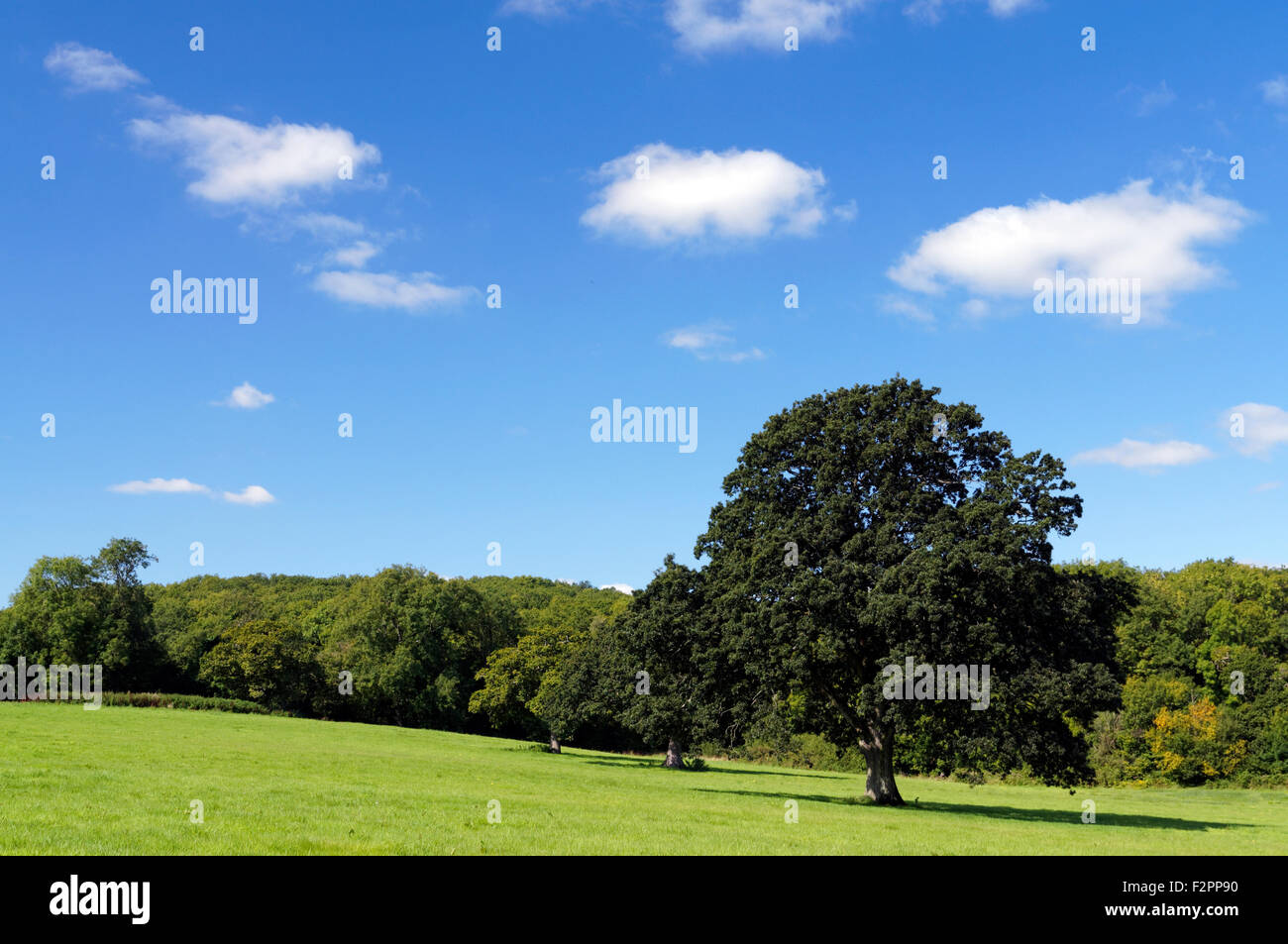 Coedarhydyglyn, Vale of Glamorgan, South Wales, UK Stock Photo - Alamy