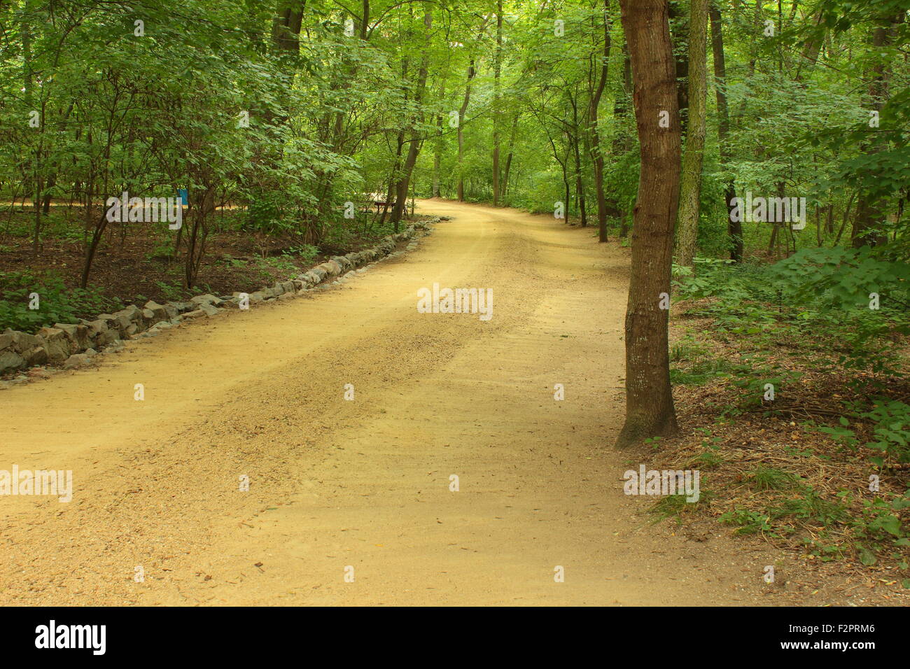 alley paved with lots of green trees Stock Photo - Alamy