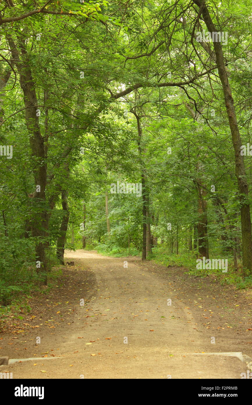Pathway on green park hi-res stock photography and images - Alamy