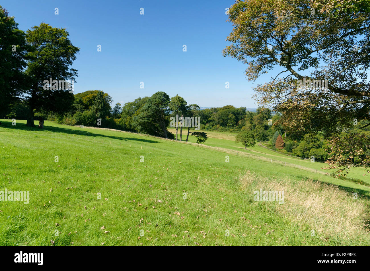 Coedarhydyglyn, Vale of Glamorgan, South Wales, UK Stock Photo - Alamy