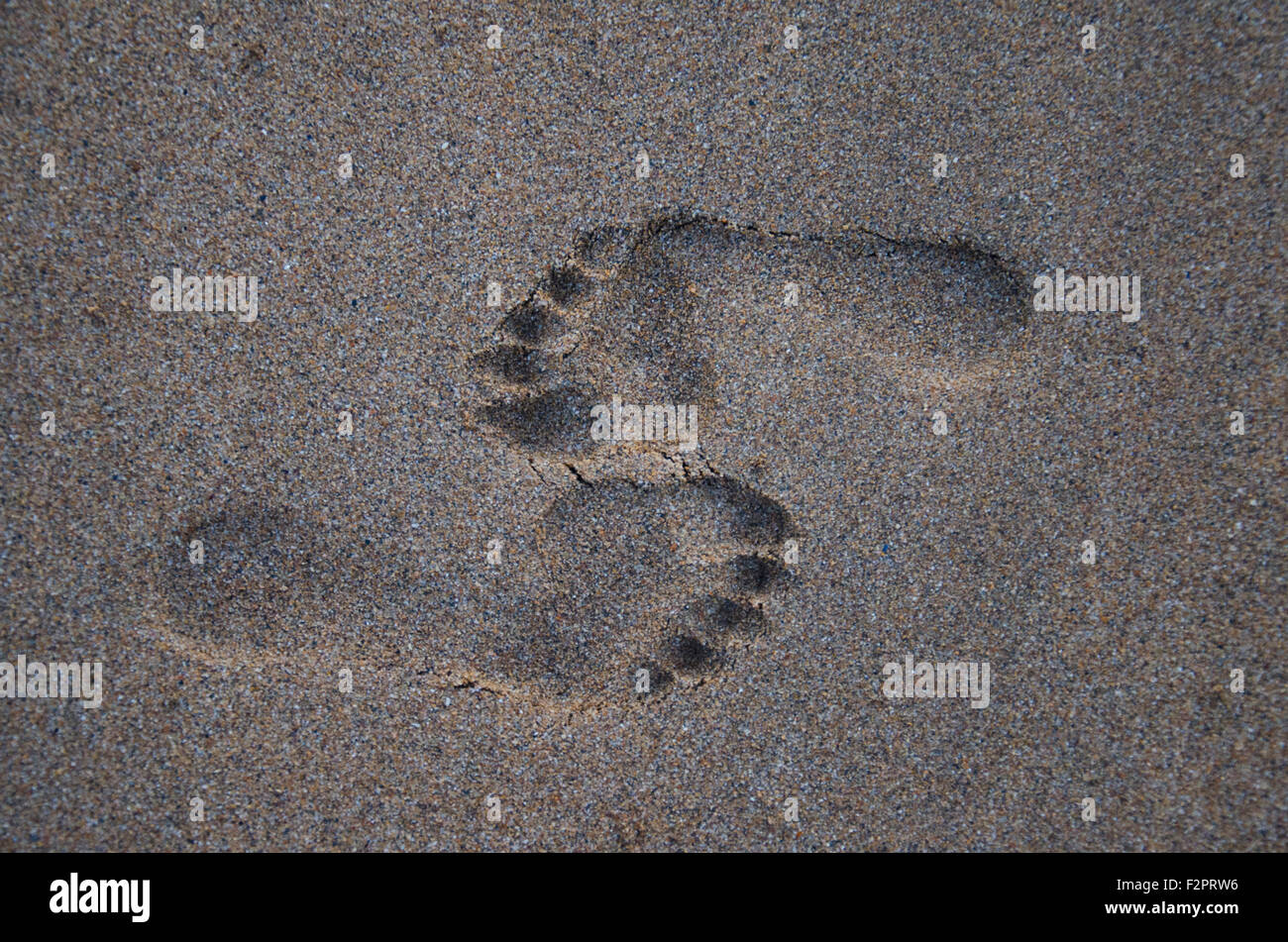 Footprints in the sand Stock Photo - Alamy