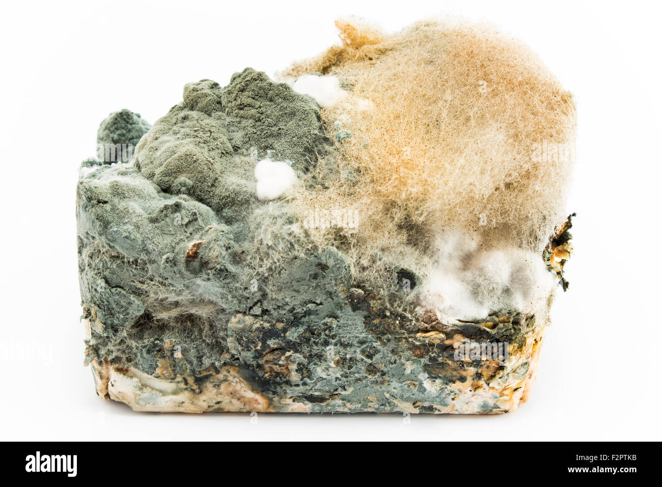 Moldy pork fat isolated on white Stock Photo - Alamy