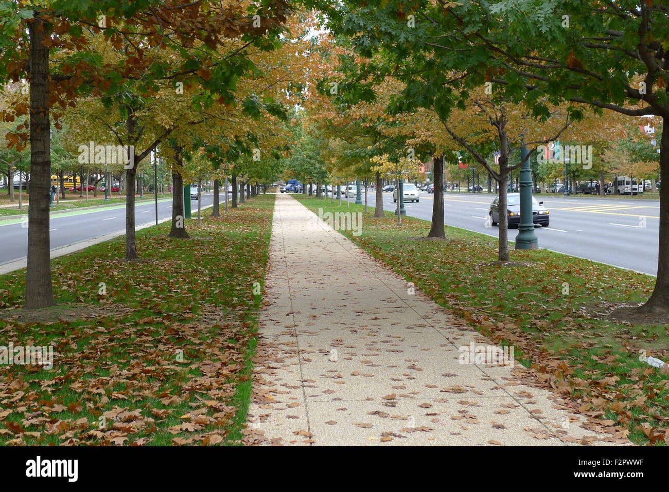 Fall Foliage at Benjamin Franklin Parkway in Philadelphia Stock Photo ...