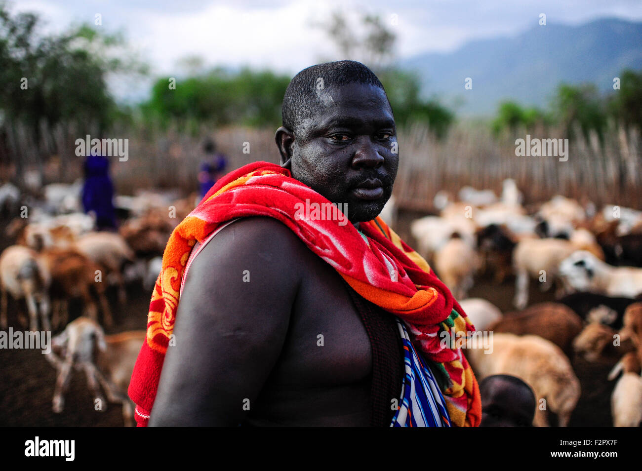 TANZANIA, Korogwe, Massai in Kwalukonge village, massai chief in Kral ...
