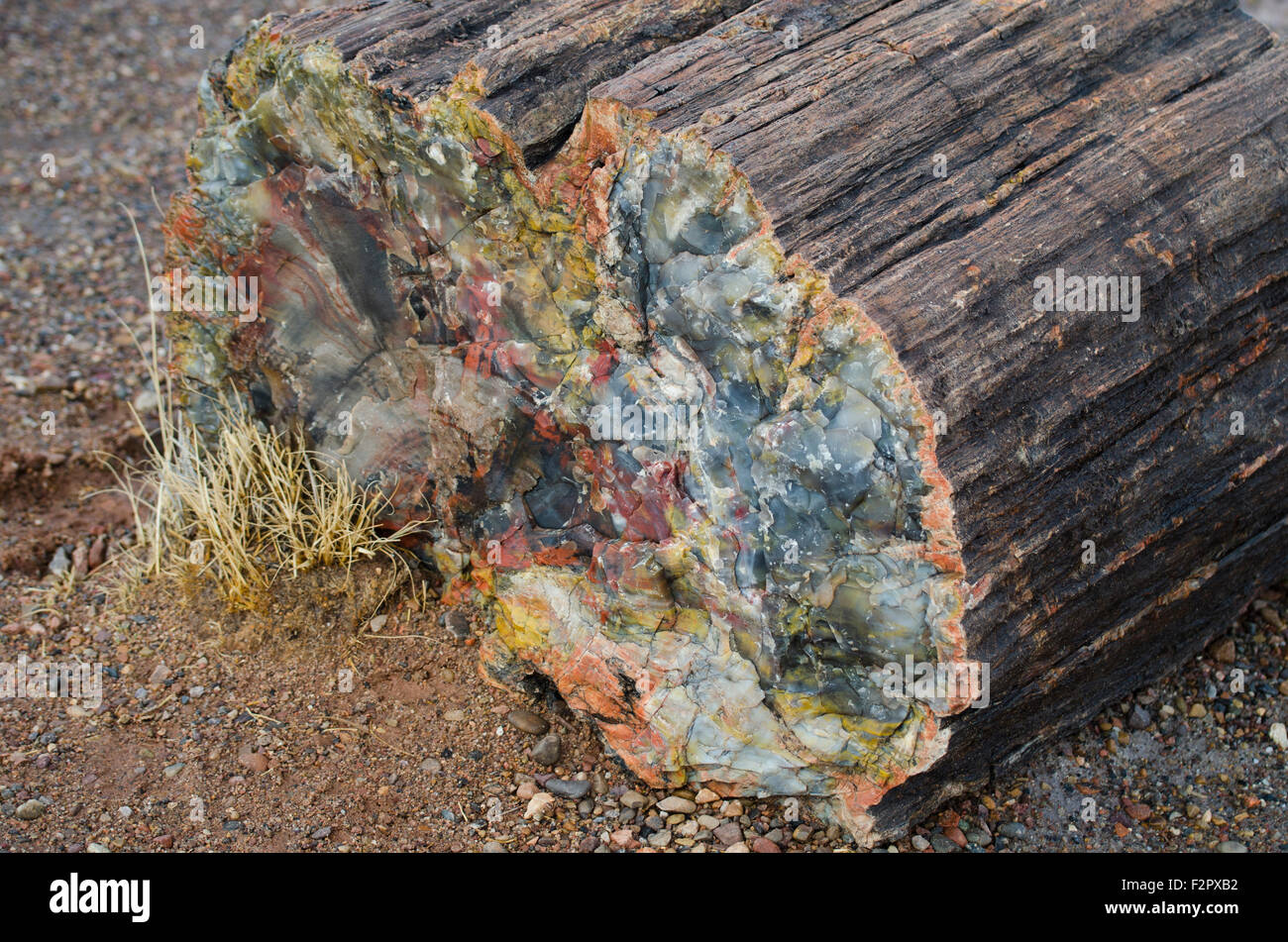 Crystal cross section hi-res stock photography and images - Alamy