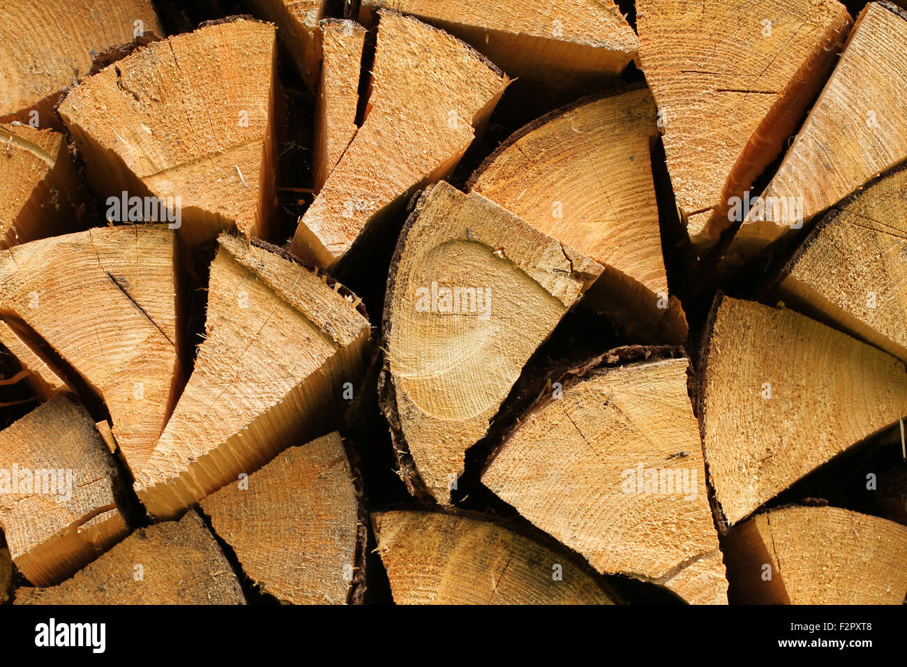 Cross section paper hi-res stock photography and images - Alamy