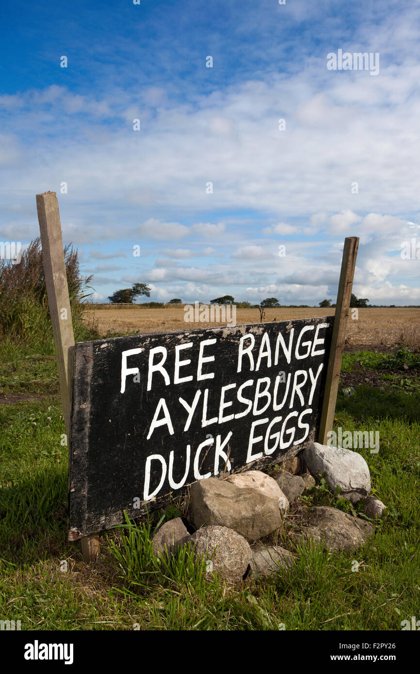 Roadside signs for the sale of Farm Produce in the village of Burscough ...