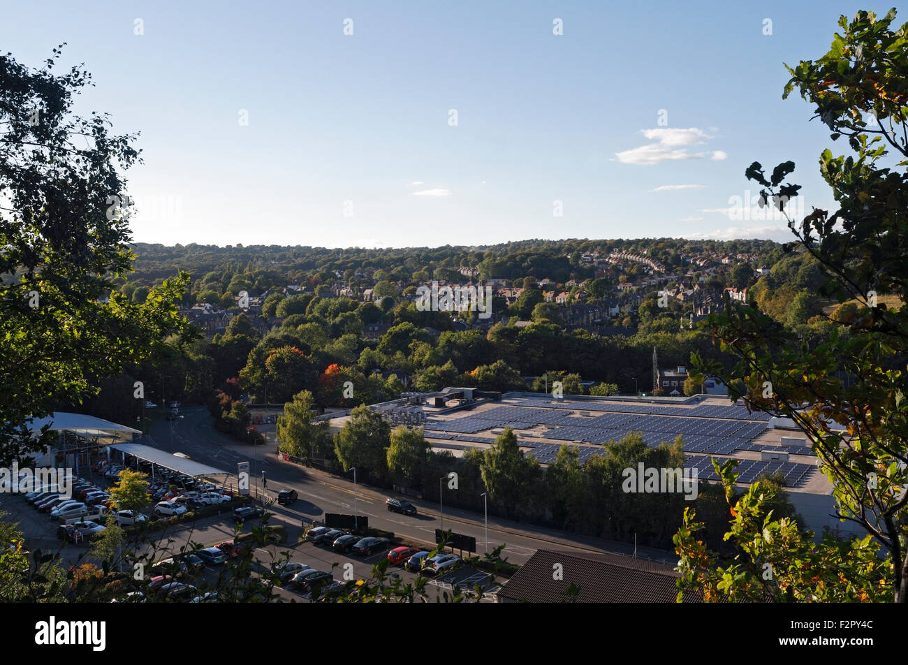 Suburban Tree Cover High Resolution Stock Photography and Images - Alamy
