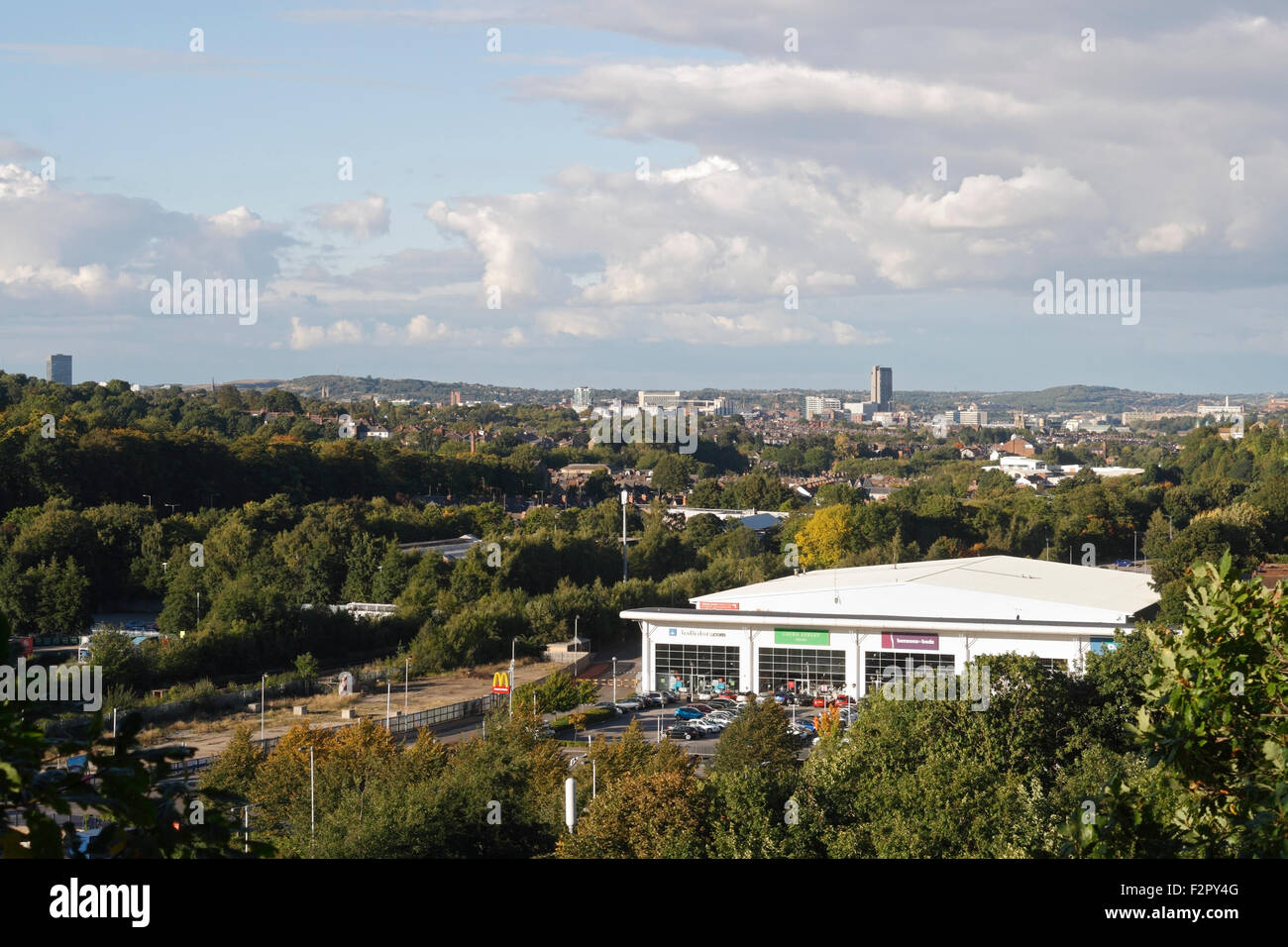 Sheffield City Skyline landscape, Trees Woodland Urban Forest biomass ...