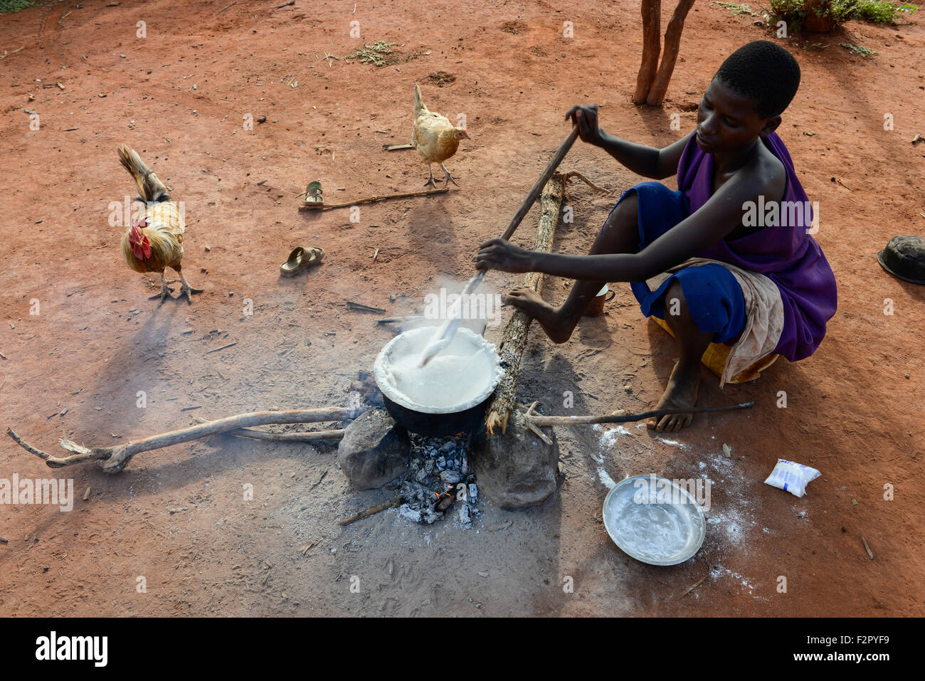 TANZANIA, Korogwe, Massai in Kwalukonge village, women cook maize Stock ...