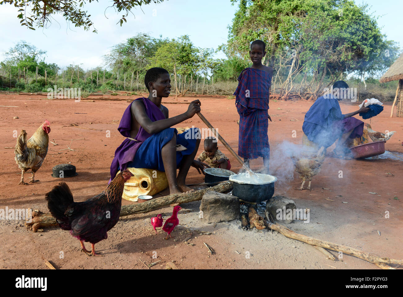 TANZANIA, Korogwe, Massai in Kwalukonge village, women cook maize Stock ...
