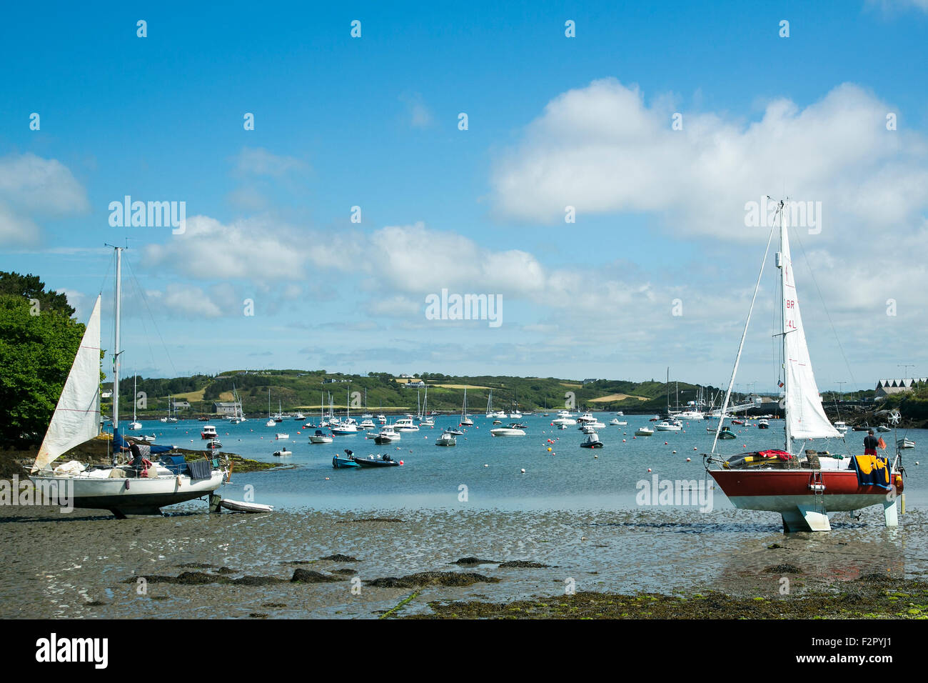 Summer in West Cork Stock Photo - Alamy