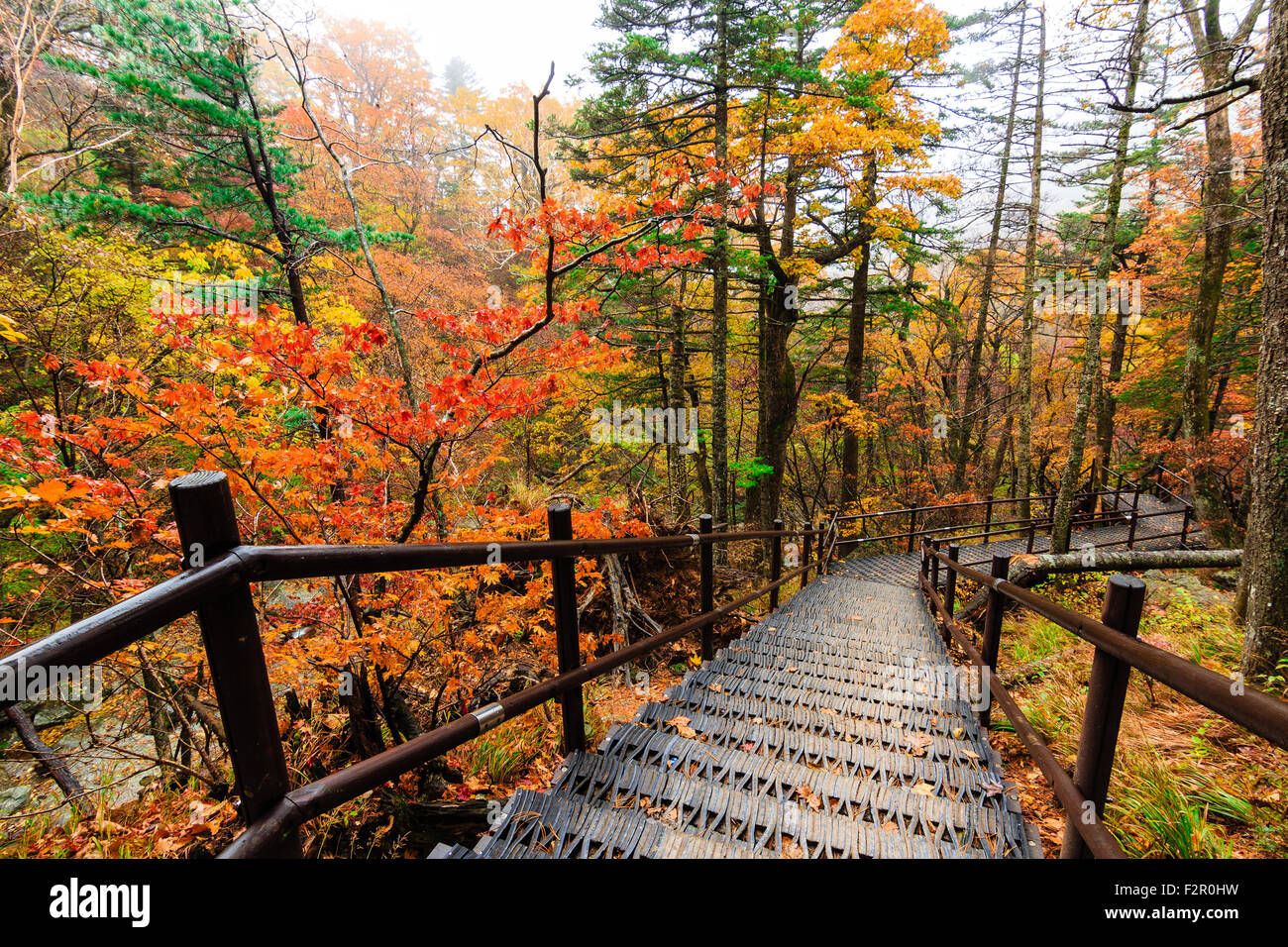 Seoraksan Korea High Resolution Stock Photography and Images - Alamy