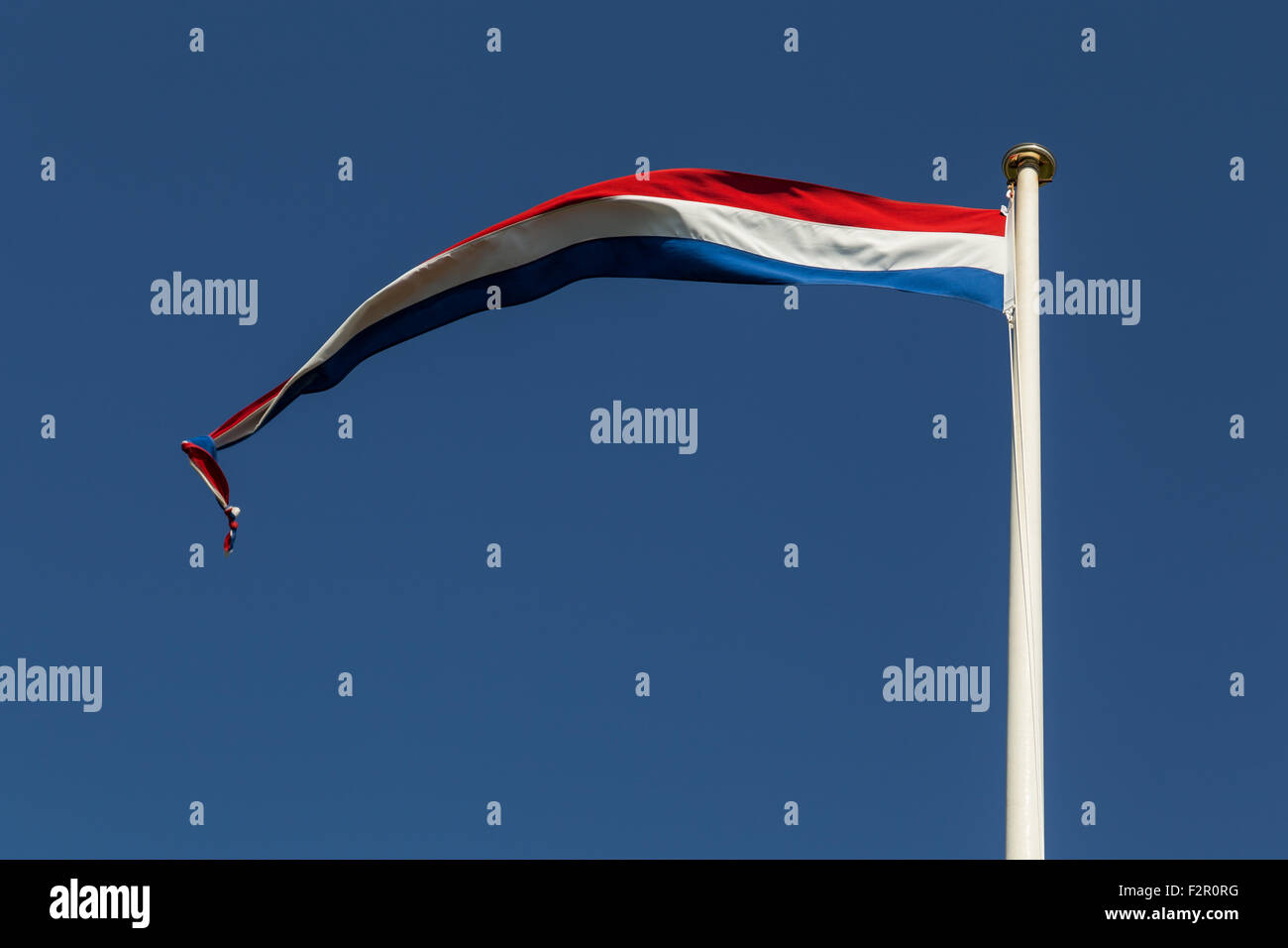 Photograph of a long and thin Dutch flag Stock Photo - Alamy