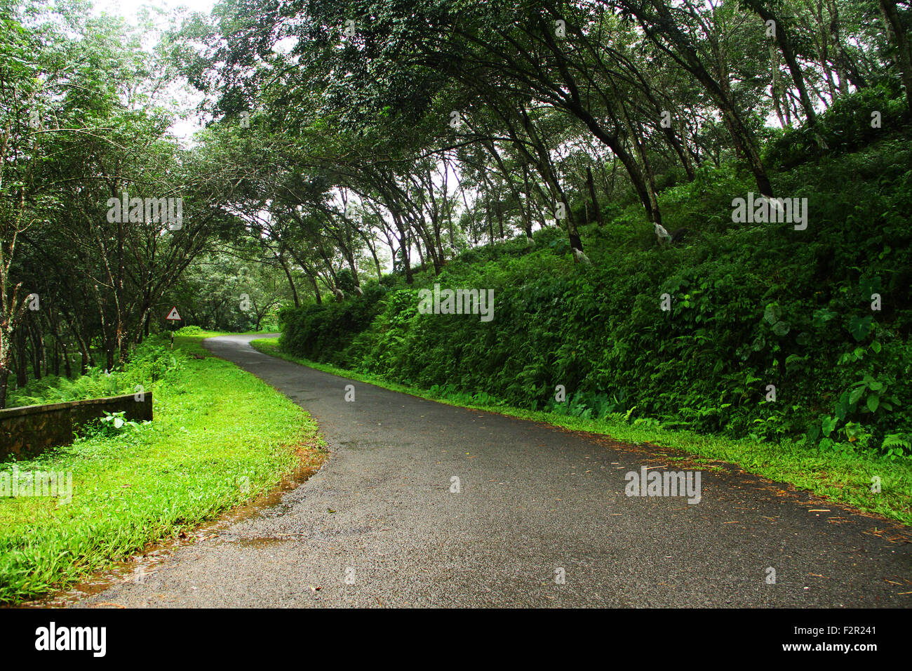 Rainy season in kerala hi-res stock photography and images - Alamy
