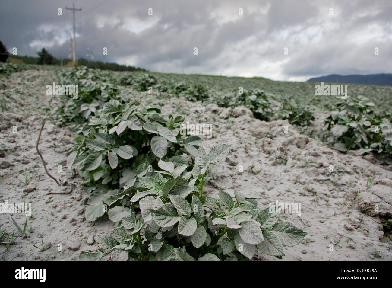 Cotopaxi volcano eruption, Ecuador Stock Photo - Alamy
