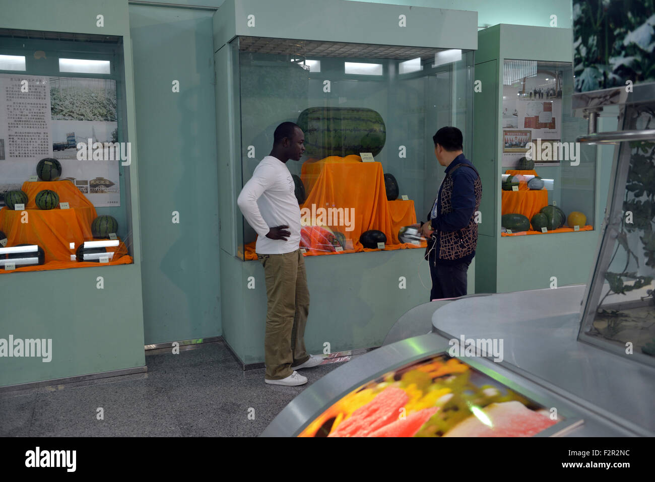 Watermelon Museum in Panggezhuang, Daxing district, Beijing, China. 22 ...