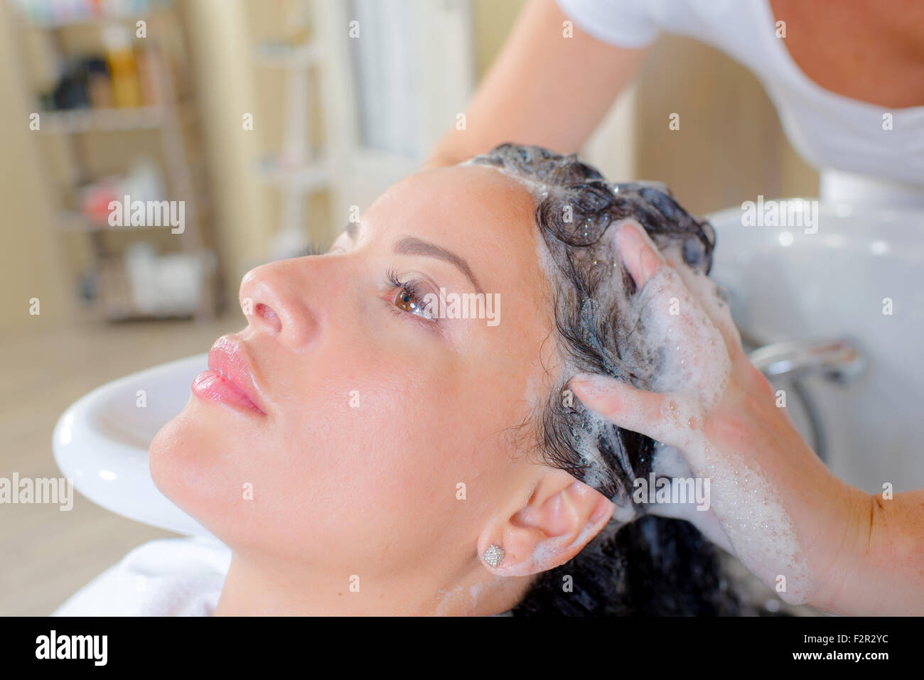 woman having shampoo Stock Photo - Alamy