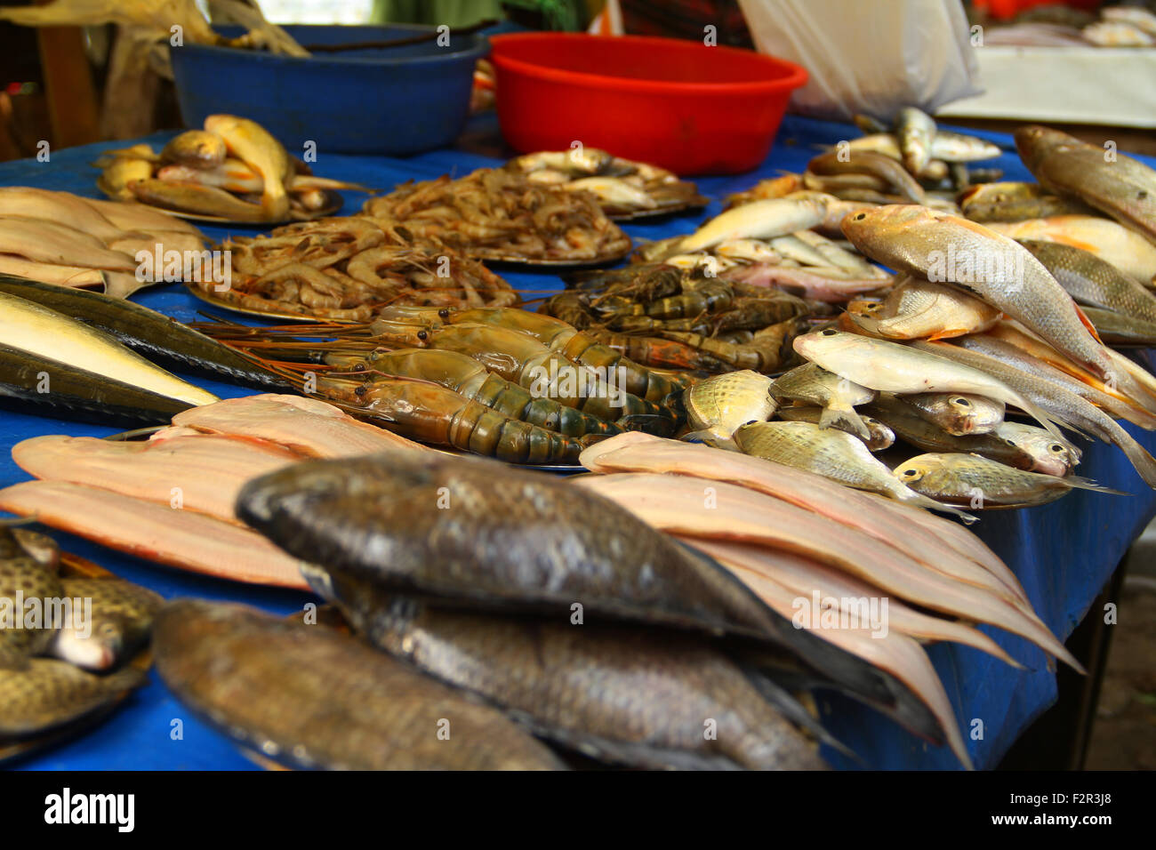 sea food market Stock Photo - Alamy