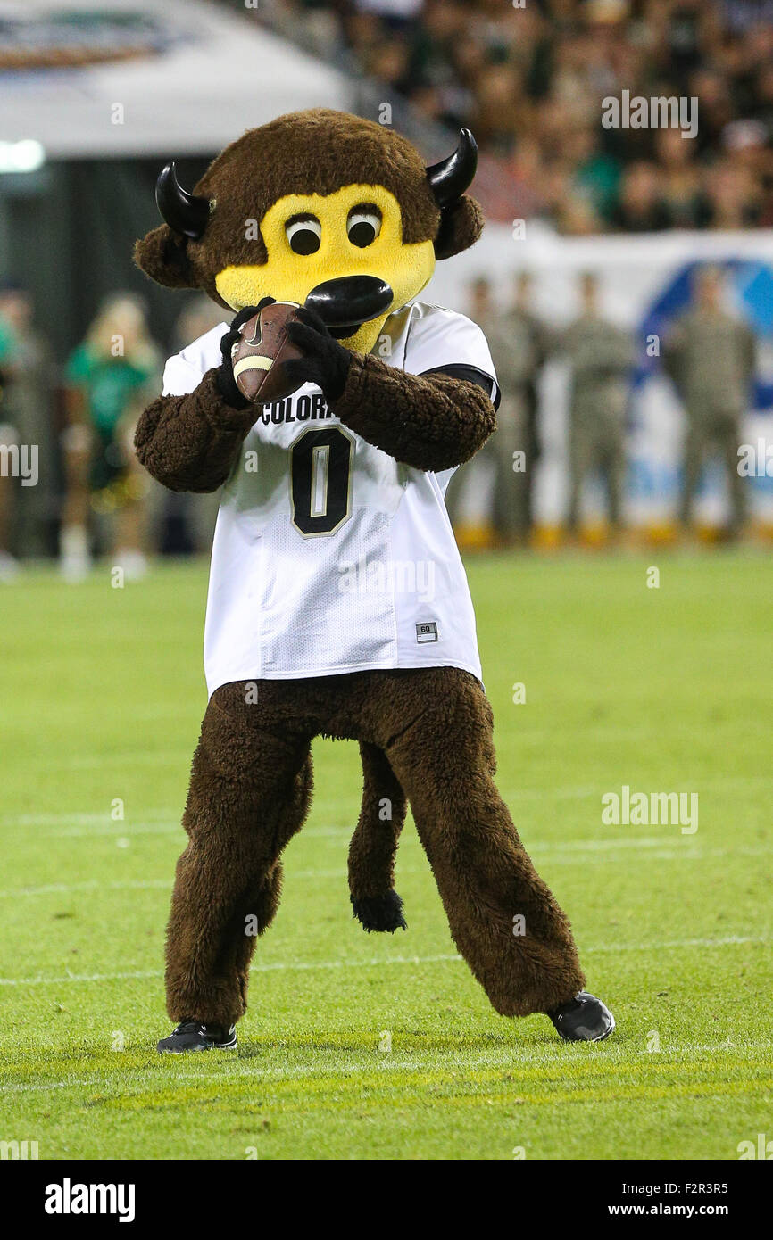 Colorado buffalo cheerleader hi-res stock photography and images - Alamy