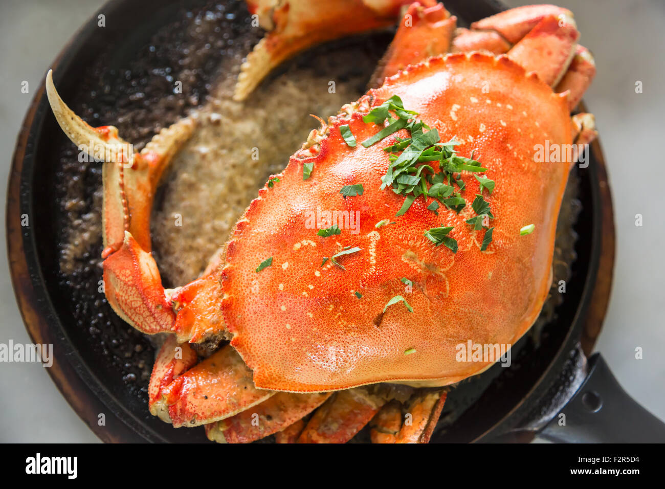 Crab top angle view hi-res stock photography and images - Alamy